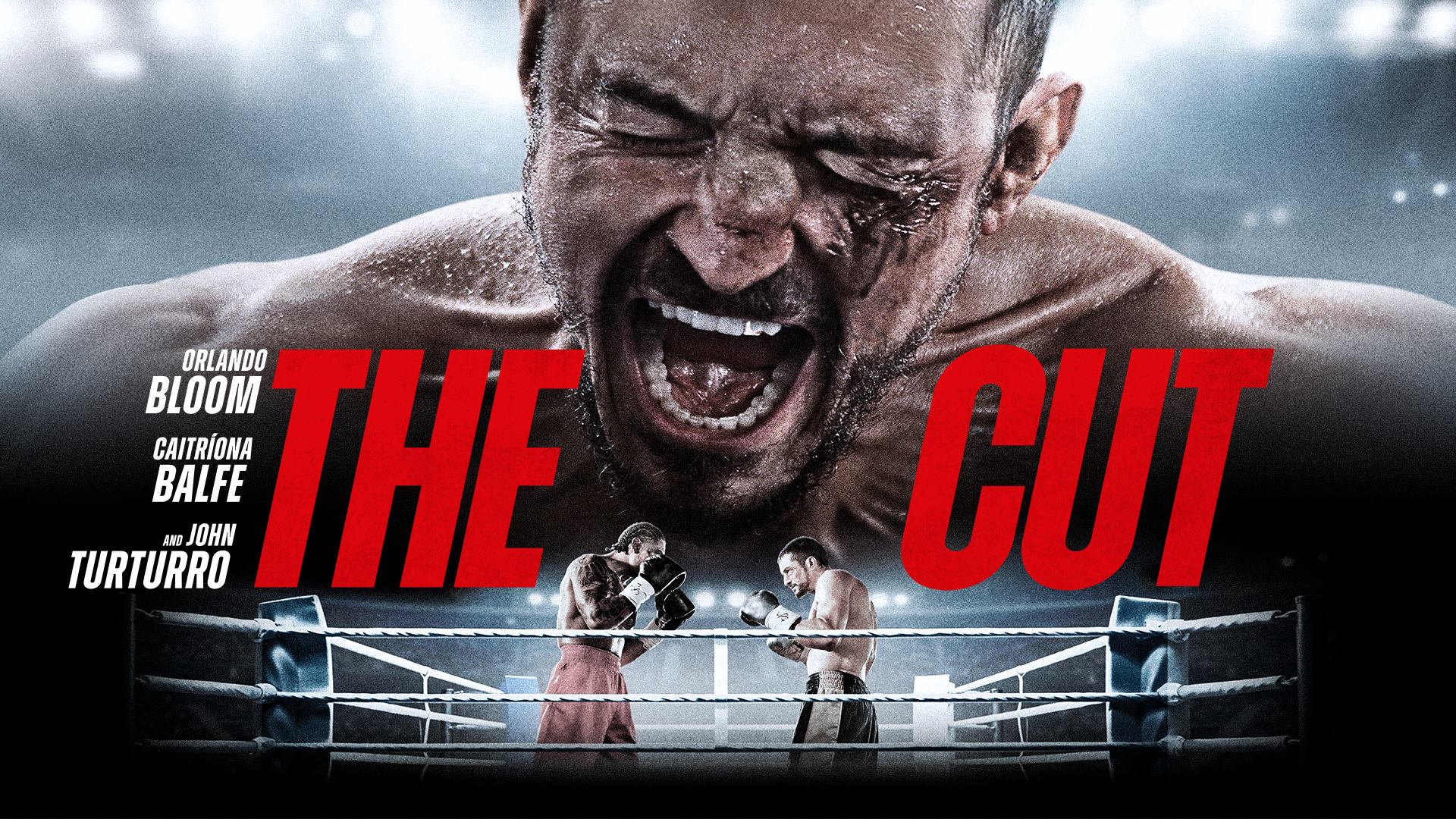 The Cut | VuPulse