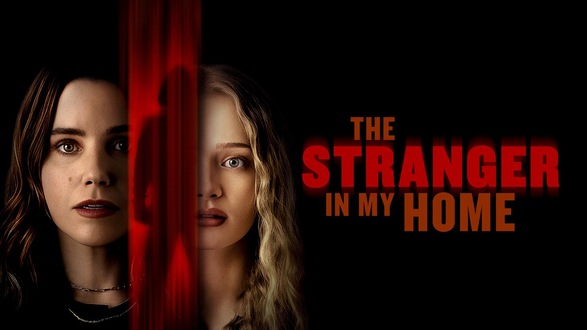 The Stranger in My Home | VuPulse